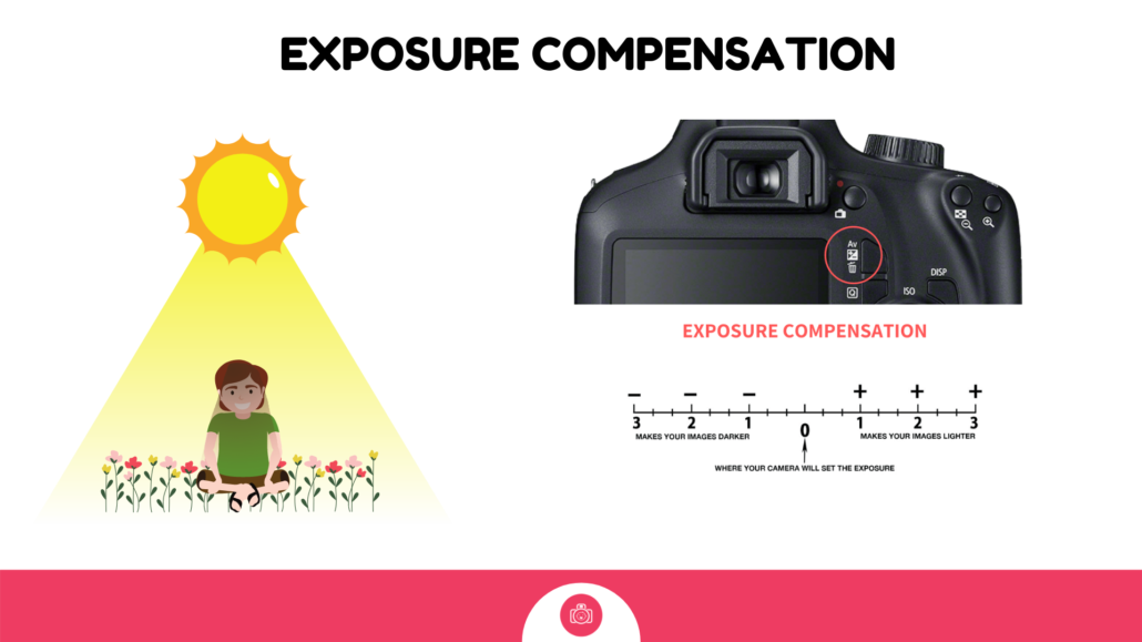 The trouble with Spring light – how to use it to take better photos of ...