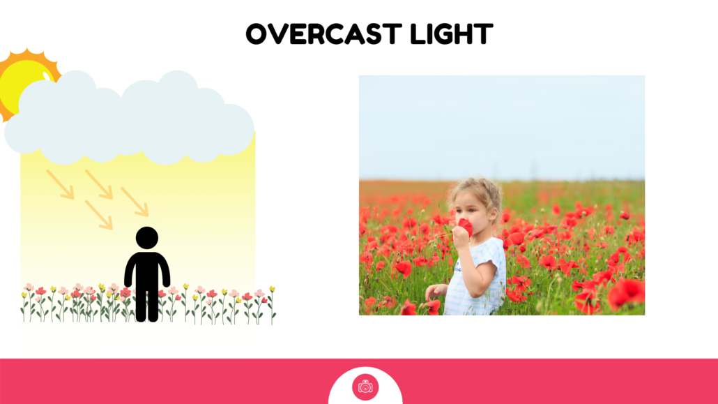 The trouble with Spring light – how to use it to take better photos of ...